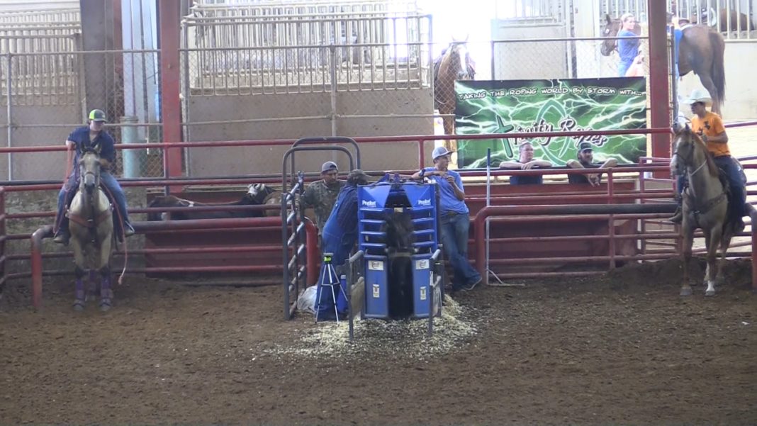Fired Up Short Round 7 Roping | Speed Williams