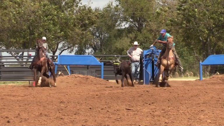 Sooner Working on a Horse out of Control free | Speed Williams